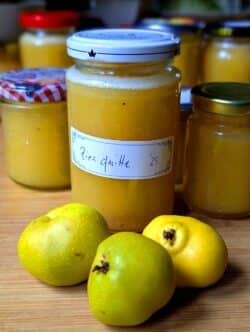 Marmelade Aus Zierquitten